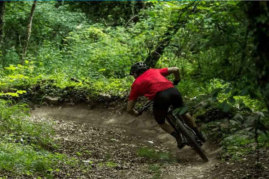 SHIMANO TECHNOLOGIES (E-BIKE)